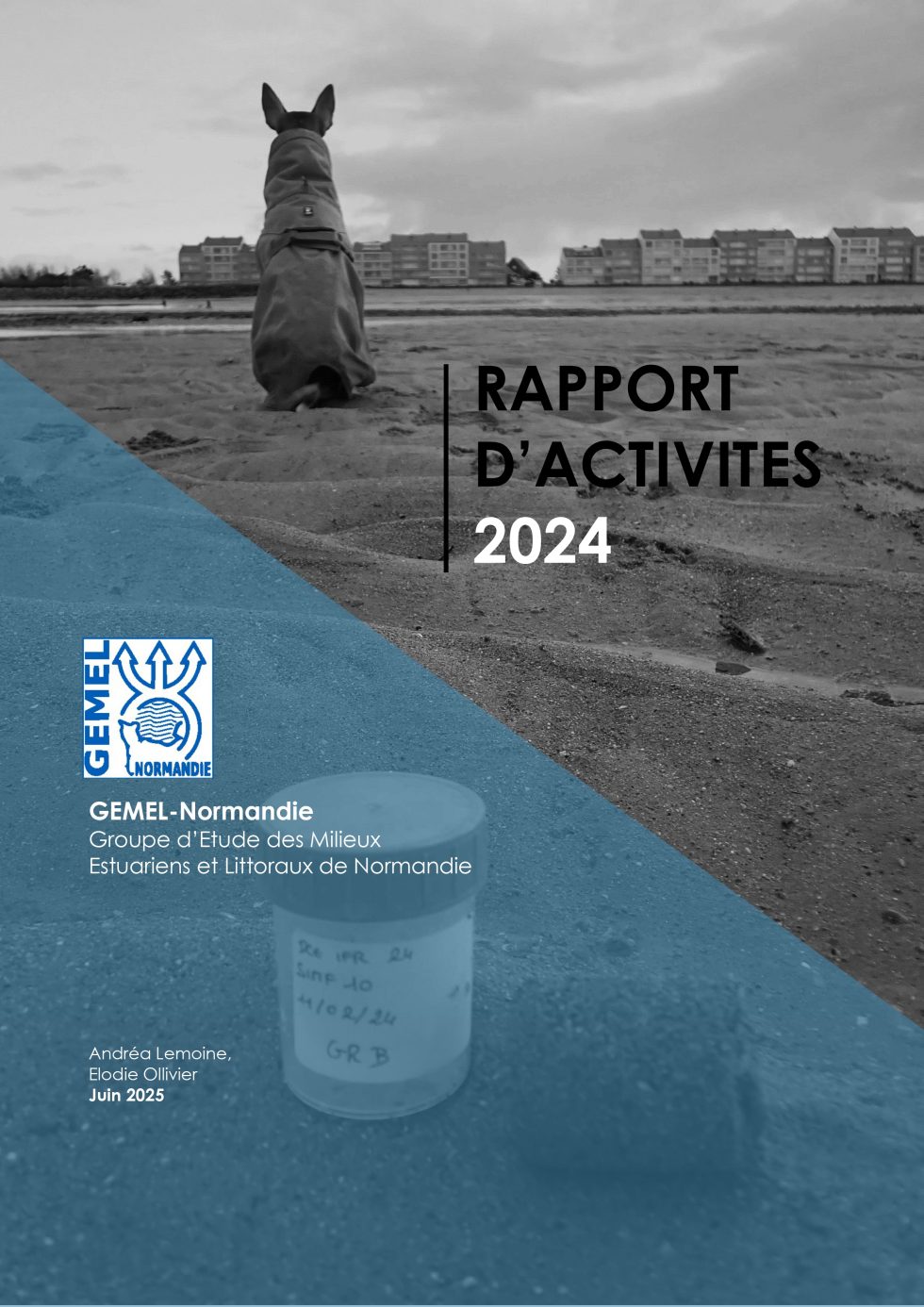 Découvrez le rapport d’activités 2024 | GEMEL-Normandie